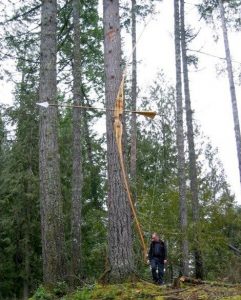 How to make the World's Biggest Bow! - Island RV Guide